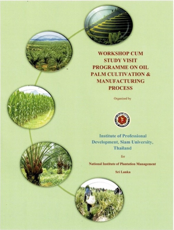 Oil Palm Cultivation & Manufacturing – Institute of Professional ...